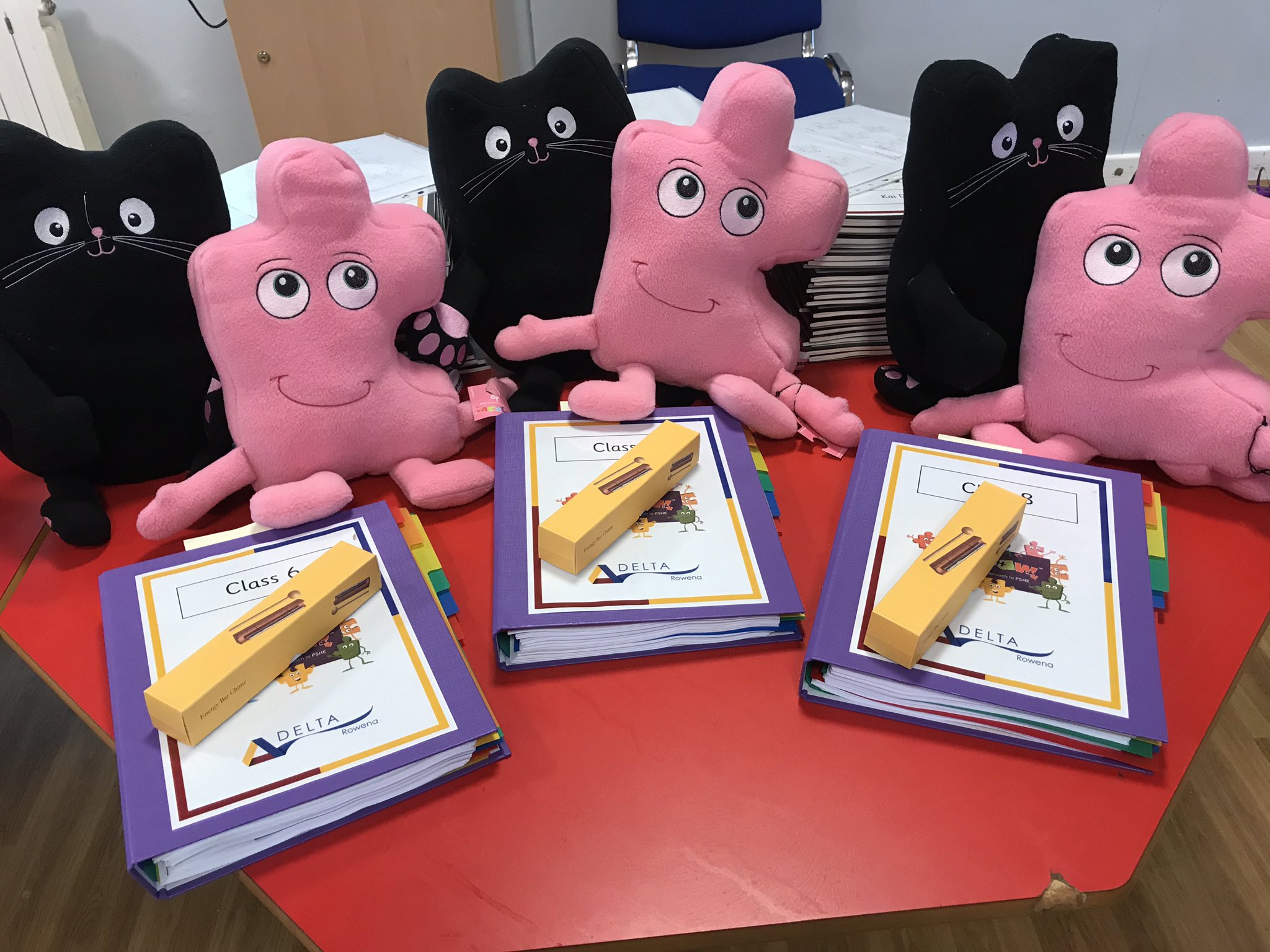 PSHE / RSE - Rowena Academy